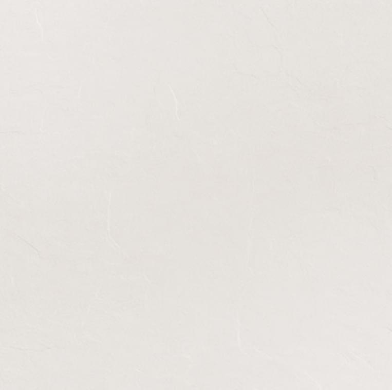 ABK WIDE AND STYLE MINI SNOW RET 60x120 керамическая плитка в Санкт ...